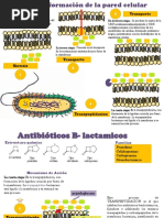 Poligelina o Gelatina Succinilatada (Con o Sin Potasio) PDF | PDF ...