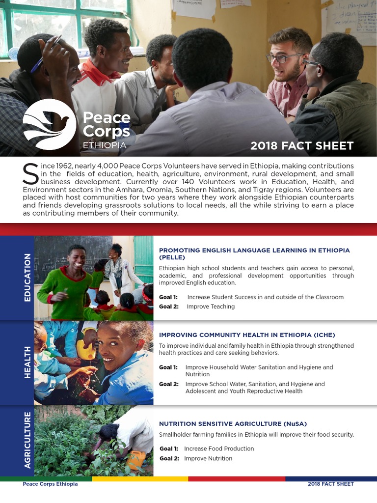 Fact Sheet | PDF | Wash | Teachers