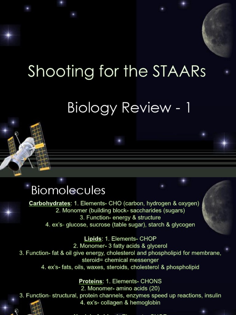 Staar Review 1 | PDF | Nucleic Acids | Cell (Biology)