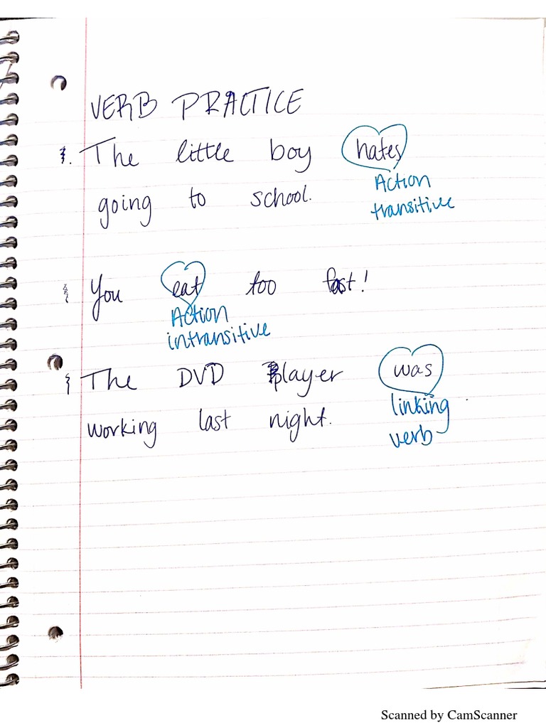 Verb Practice | PDF