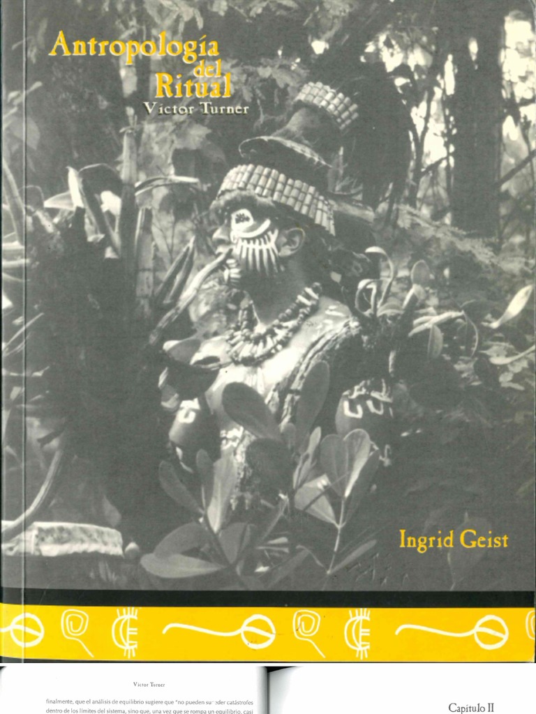 Turner-Geist 2002 PDF | PDF