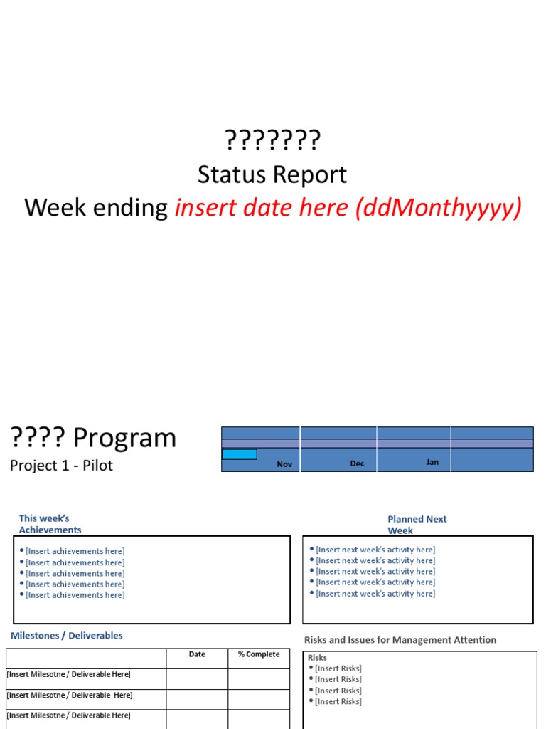Weekly Project Status Report | PDF