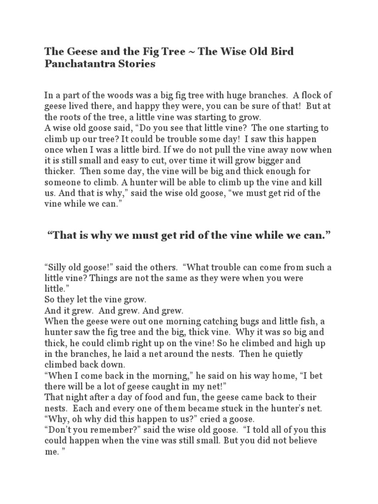 The Geese and The Fig Tree The Wise Old Bird Panchatantra Stories | PDF