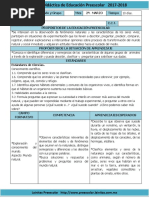 Planeacion Preescolar 5 Sentidos | PDF | Educación de la primera infancia