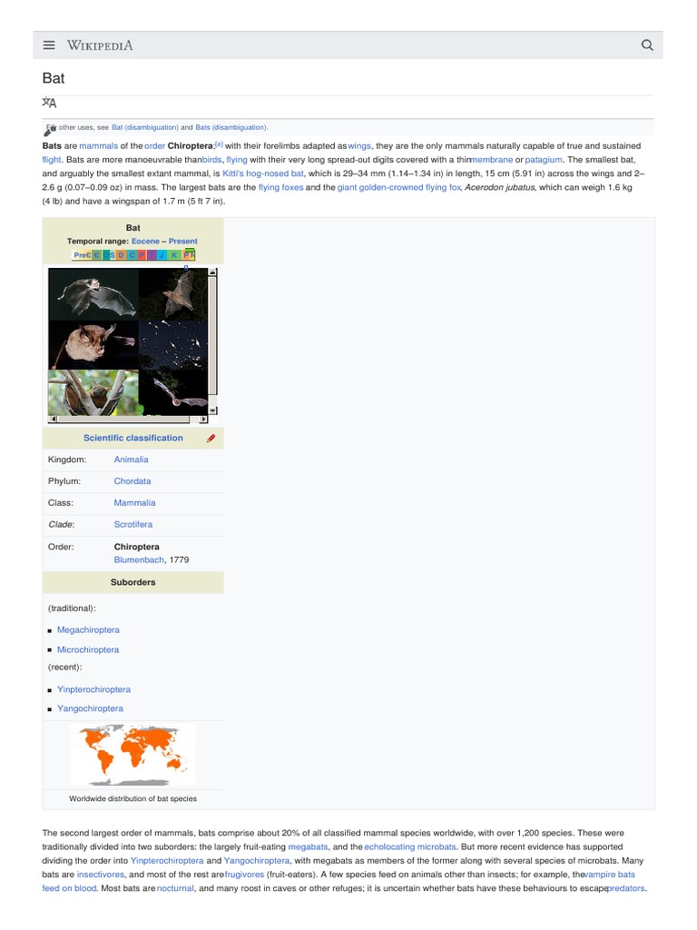 Bats Are Chiroptera : Eocene Present | PDF | Bat | Circulatory System