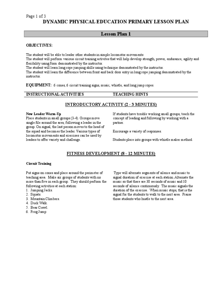 Dynamic Physical Education Primary Lesson Plan Lesson Plan 1 | PDF ...