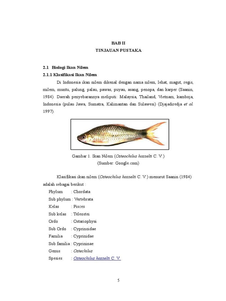 Bab Ii Tinjauan Pustaka: Osteochilus Hasselti C. V | PDF