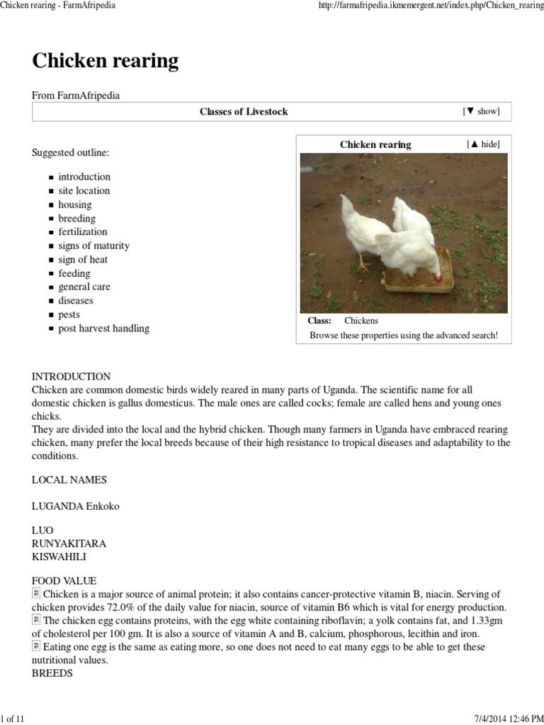 Chicken Rearing - FarmAfripedia | PDF | Influenza | Chicken