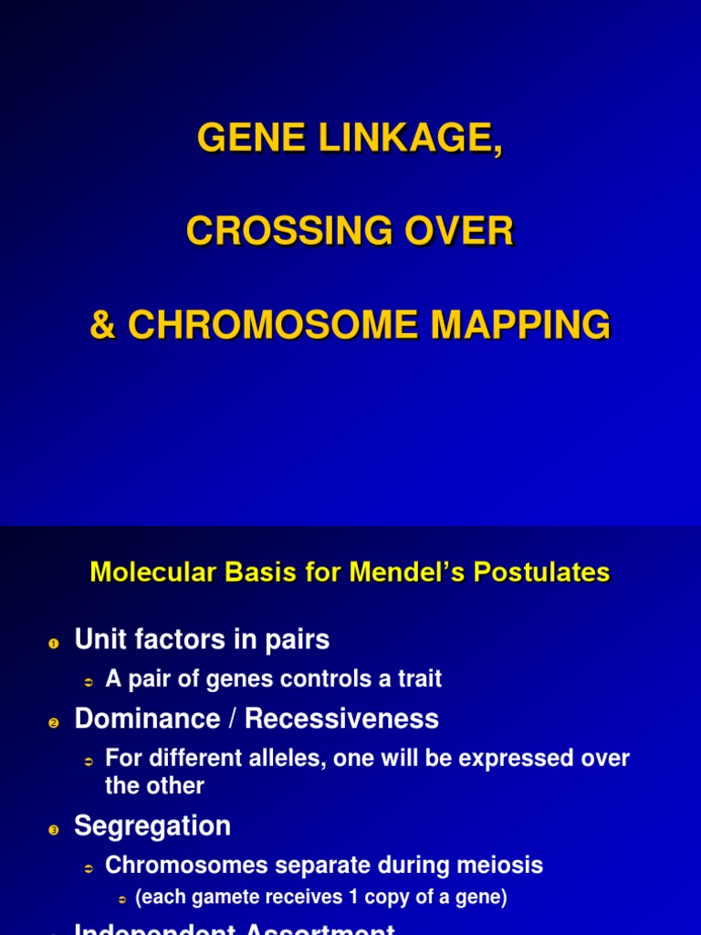 Genetics Linkage and Mapping | PDF | Genetic Linkage | Genetic ...