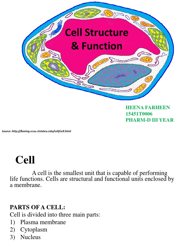 Human Physiology Cell Structure Function I Lecture 31.july - .2012 ...