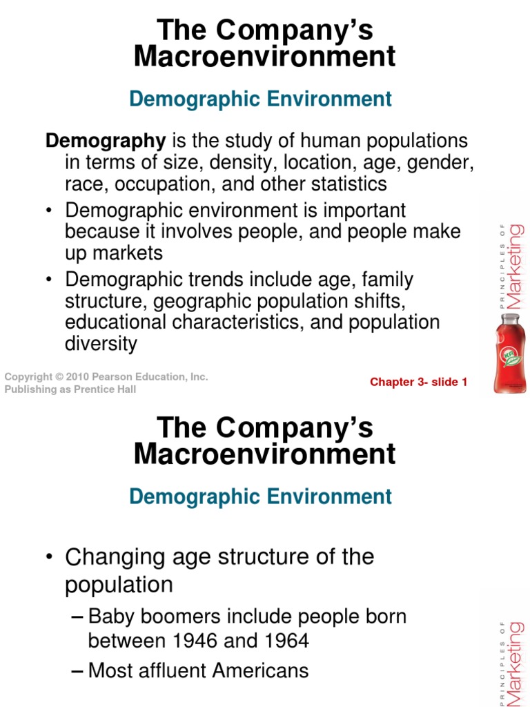 The Company's Macroenvironment: Demographic Environment | PDF | Economies