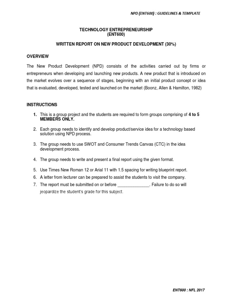 ENT 600 - Guidelines and Templates | PDF | New Product Development ...