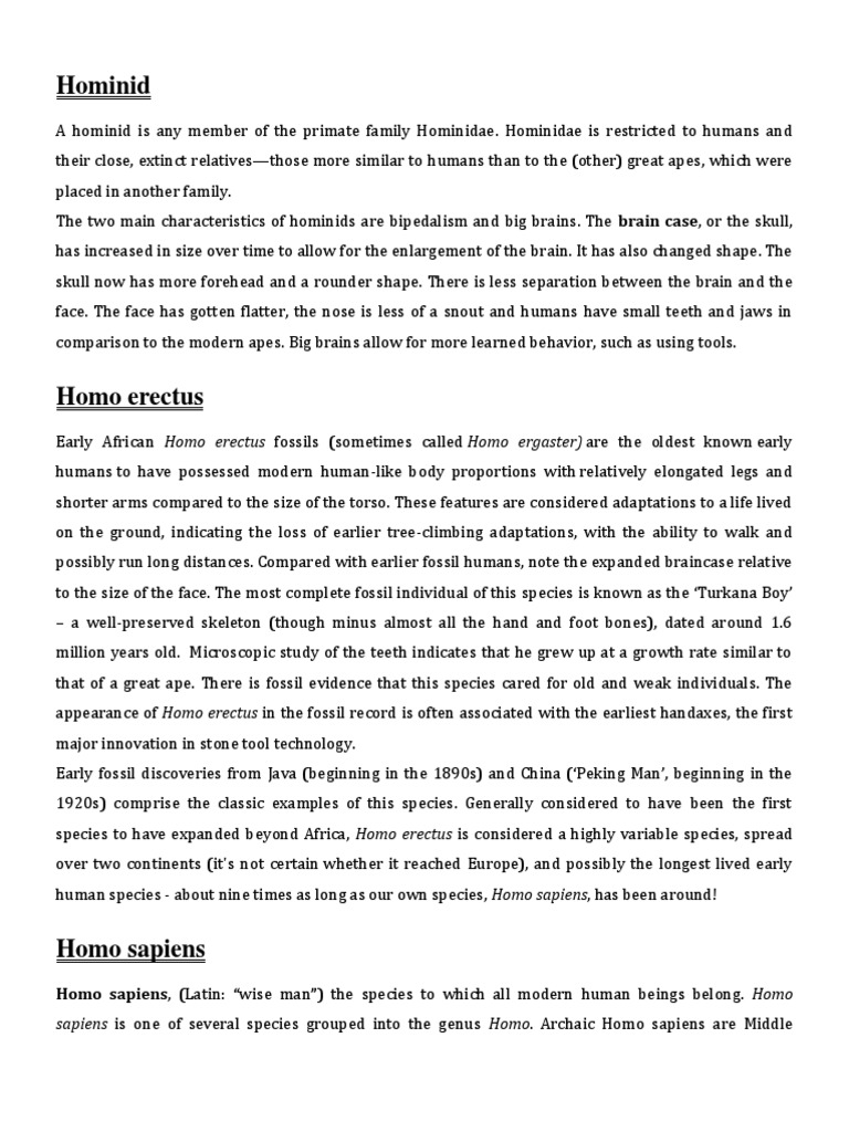 Evolution, Fossils and Cave Paintings | PDF | Homo | Homo Sapiens