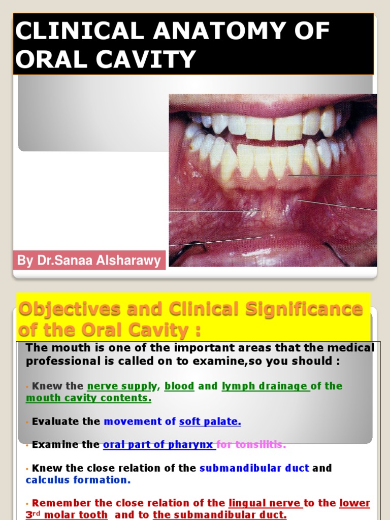 Clinical Anatomy of ORAL CAVITY-2016 PDF | PDF | Tongue | Mouth