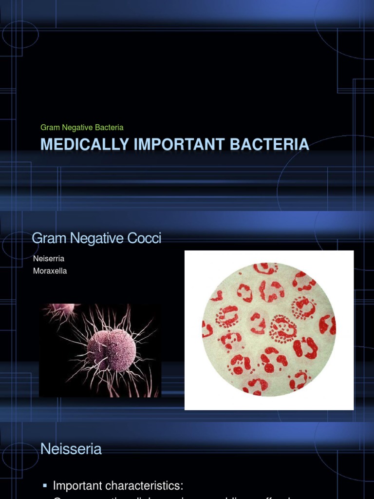 Medically Important Bacteria Gram Negative - PPTX Filename UTF-8 ...