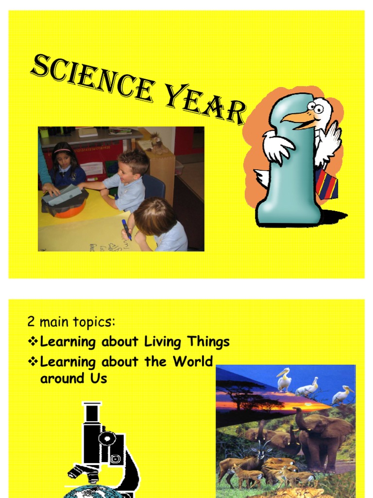 Science Year 1 | PDF