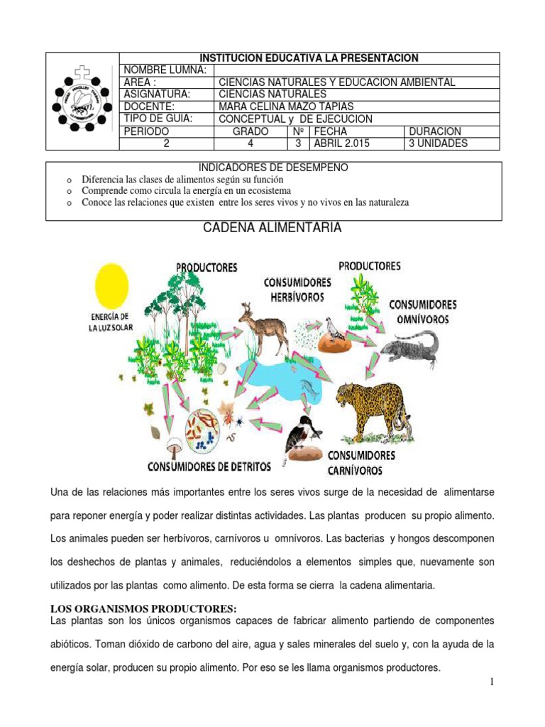 Hojas De Trabajo Sobre La Cadena Alimentaria Para Segundo Grado Hojas