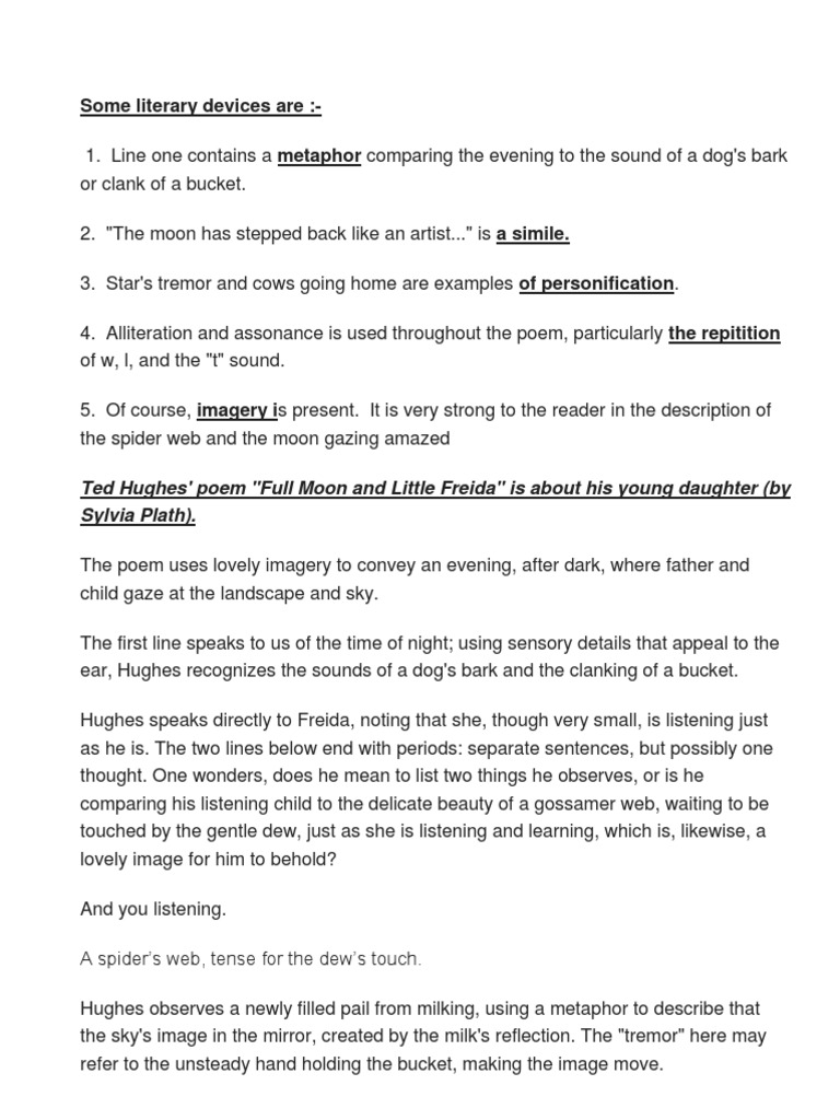 Literary Devices in "Full Moon and Little Frieda" | PDF | Poetry