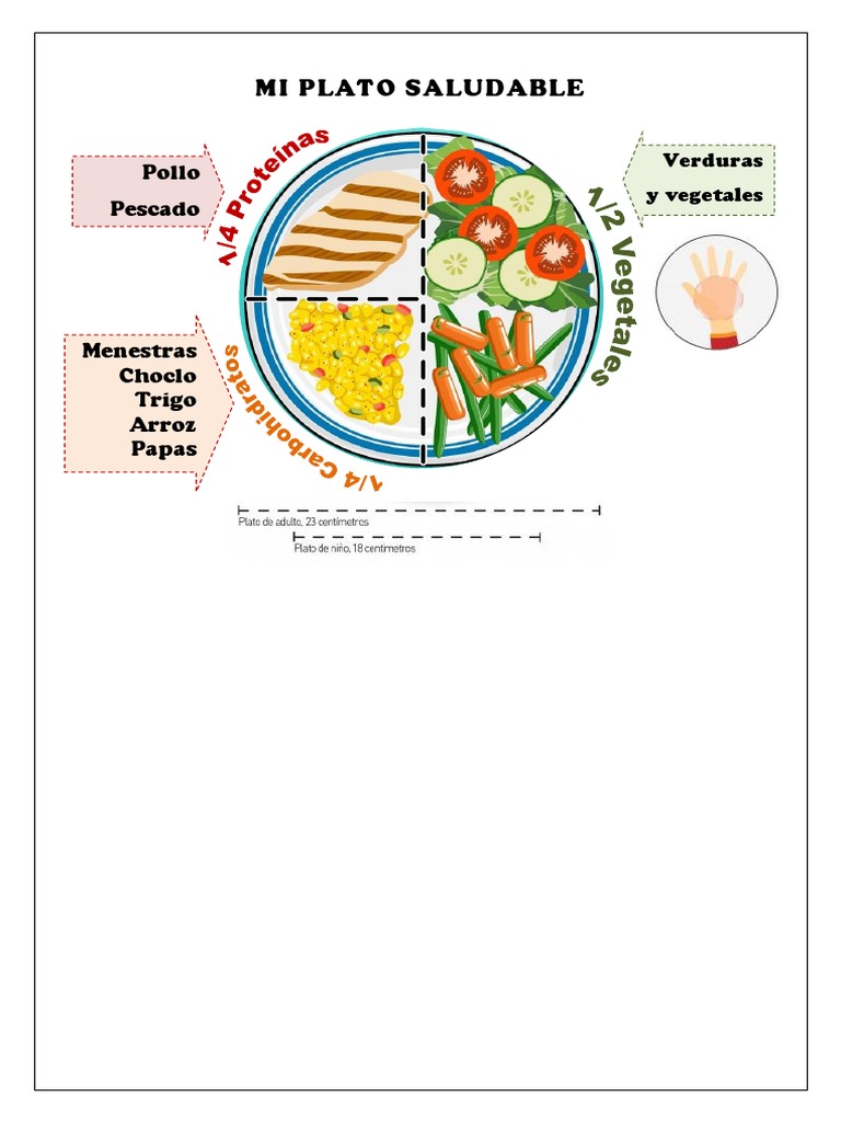 Mi Plato Saludable | PDF | Salud y bienestar | Ciencia y matemáticas
