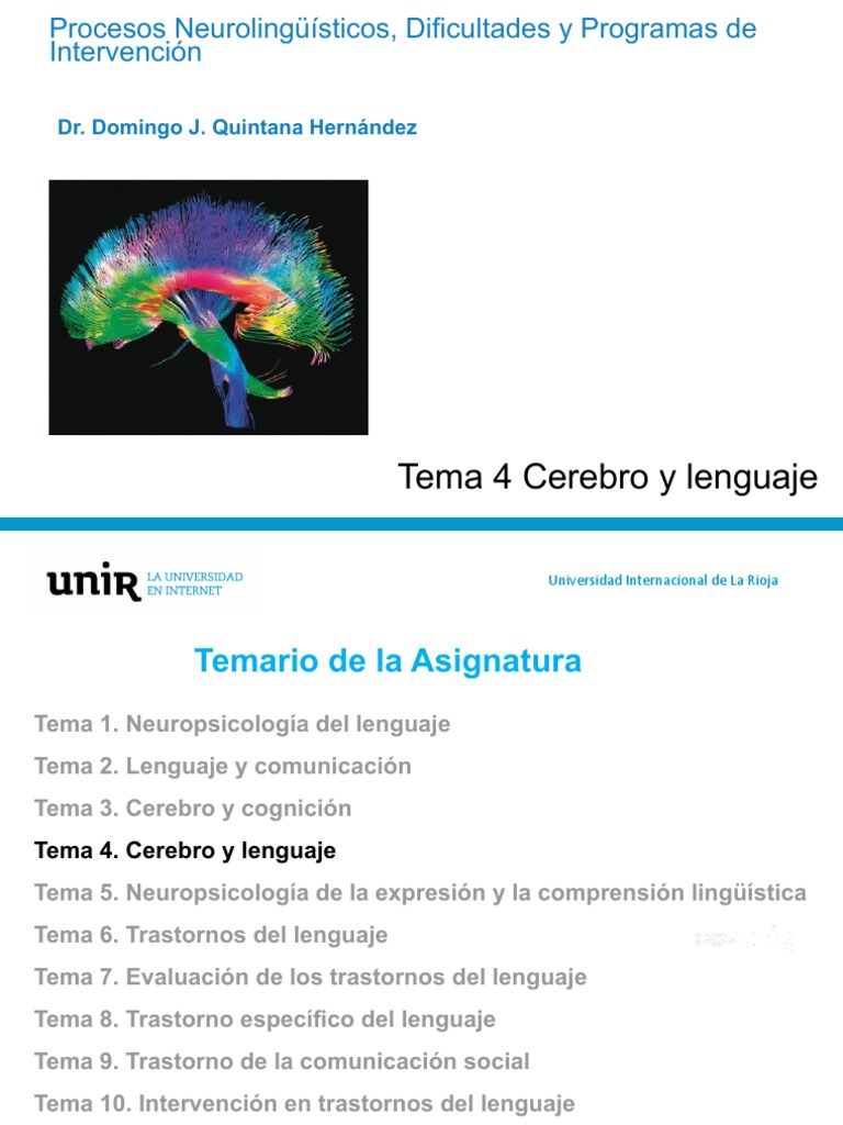 Cerebro Y Lenguaje Pdf Neurolingüística Hemisferio Cerebral