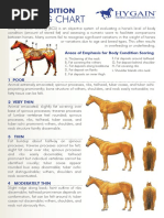 Royal Canin Body Condition Score Charts | PDF | Abdomen | Pelvis