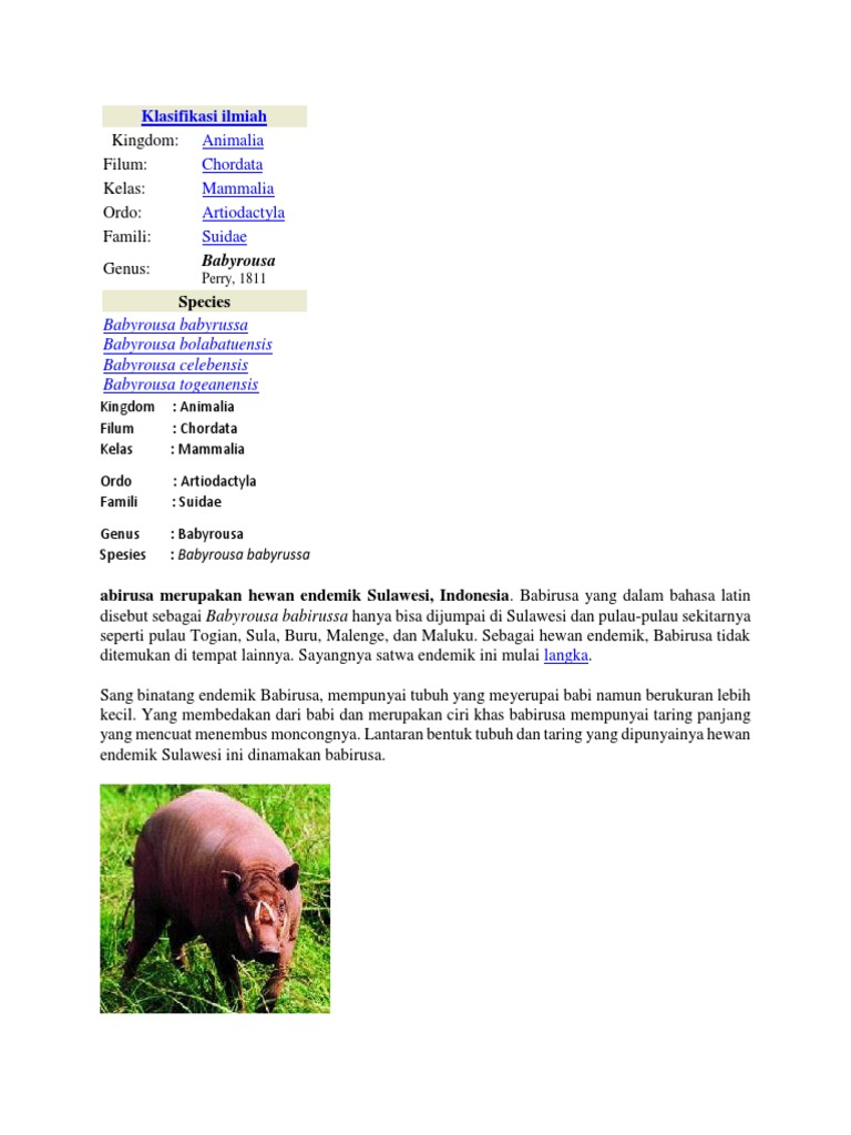 Babirusa: Satwa Langka Sulawesi | PDF