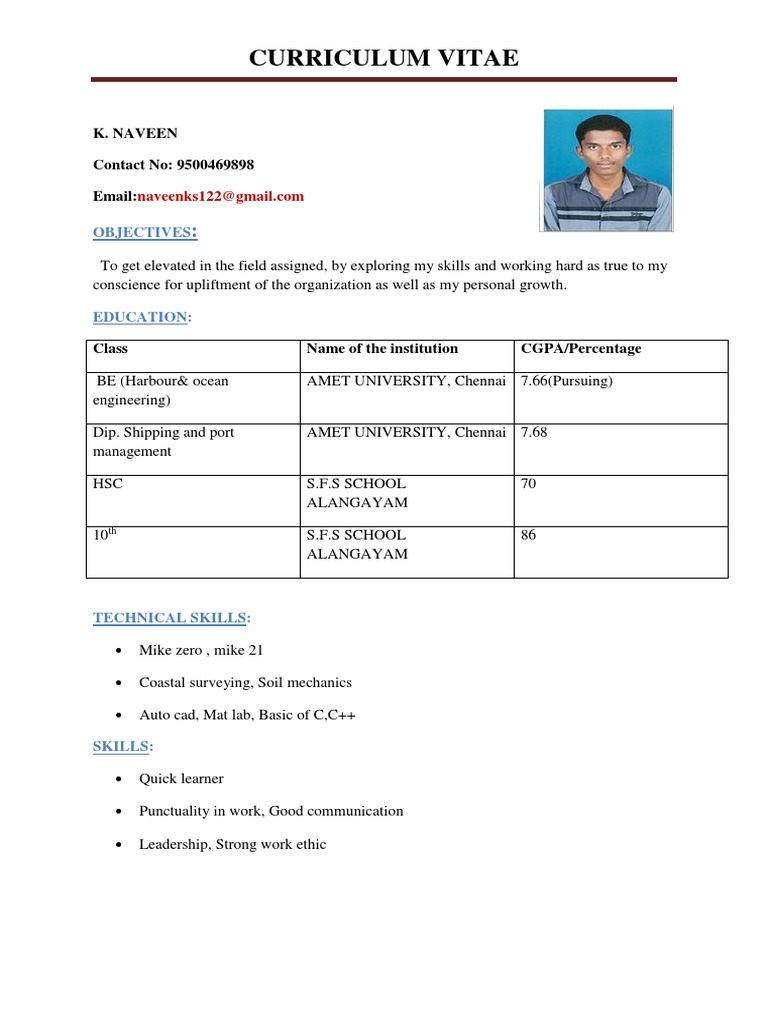 Naveen Resume | PDF