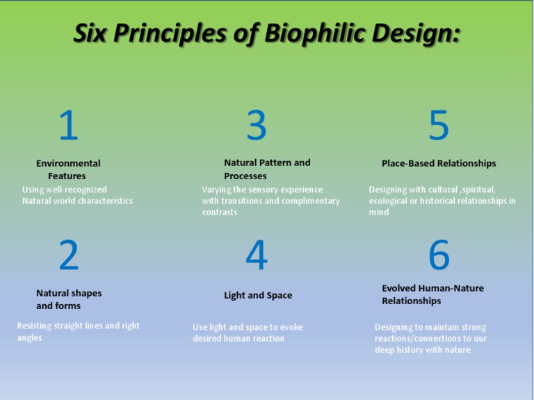 Six Principles of Biophilic Design:: Environmental Features Natural ...
