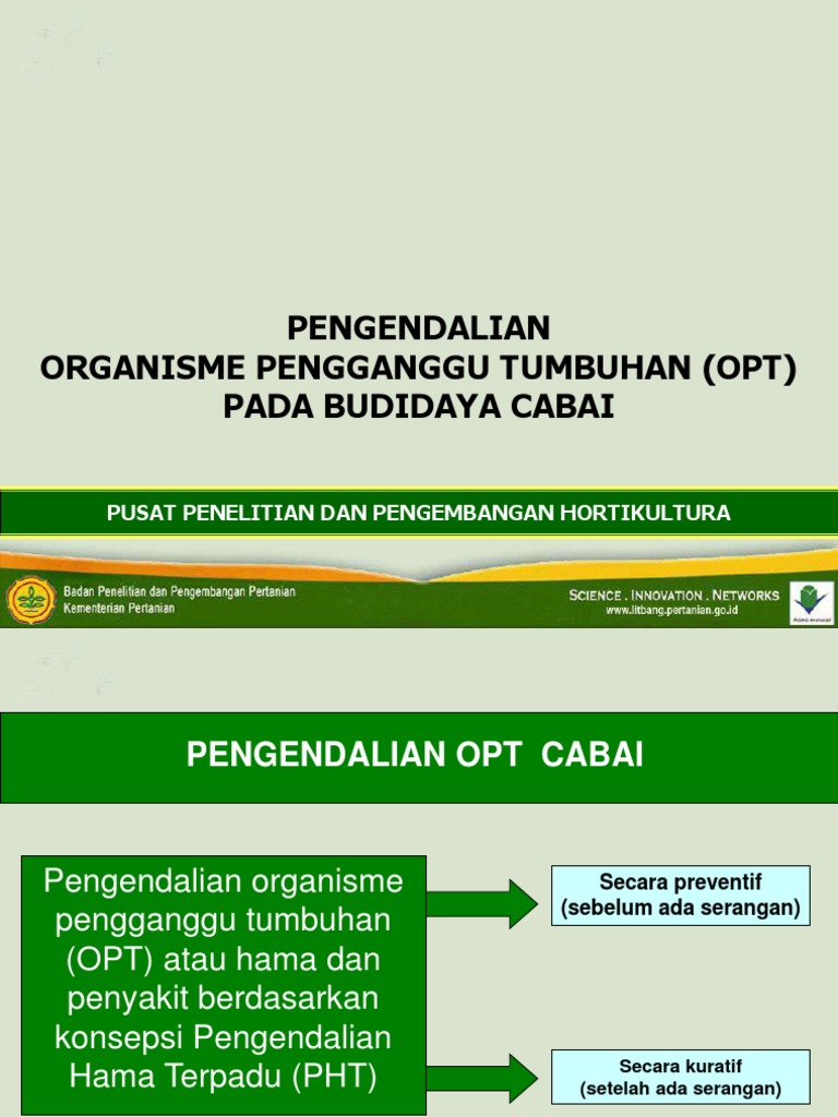 Pengendalian OPT Pada Budidaya Cabai | PDF