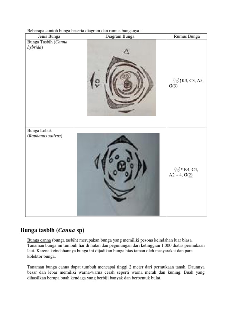 Bunga Tasbih | PDF