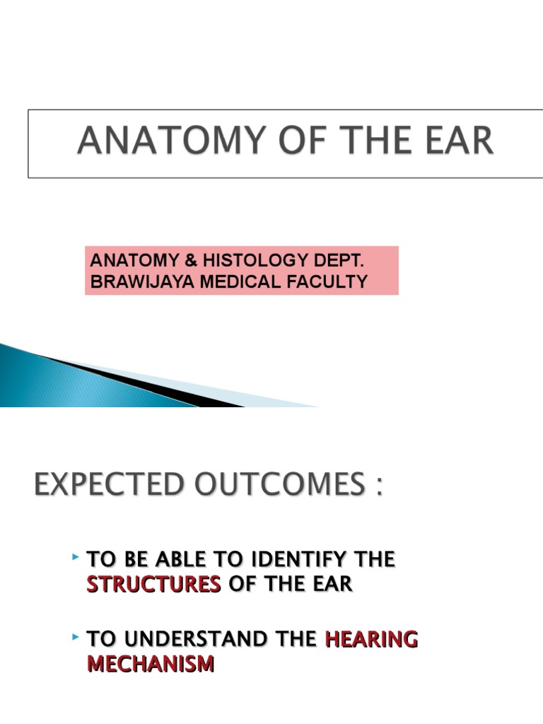 EAR Anatomy | PDF | Ear | Auditory System