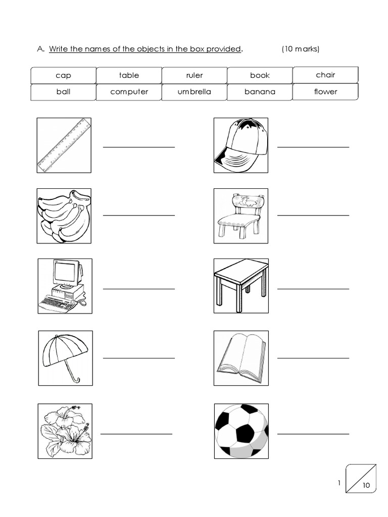 A. Write The Names of The Objects in The Box Provided. (10 Marks) Cap ...