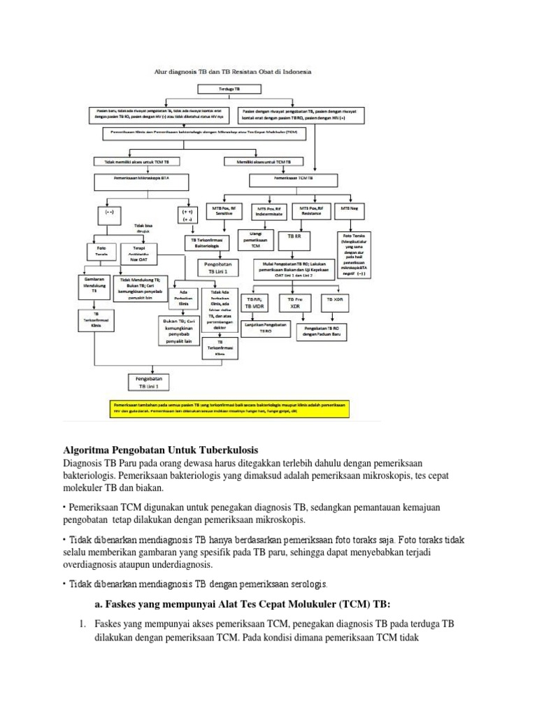 Algoritma Pengobatan Untuk Tuberkulosis | PDF