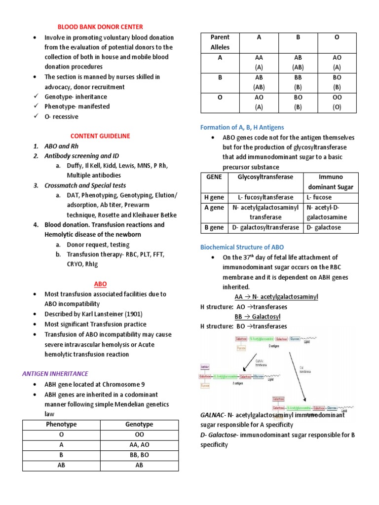 Blood Bank Overview and Compatibility | PDF | Blood Type | Tissue (Biology)