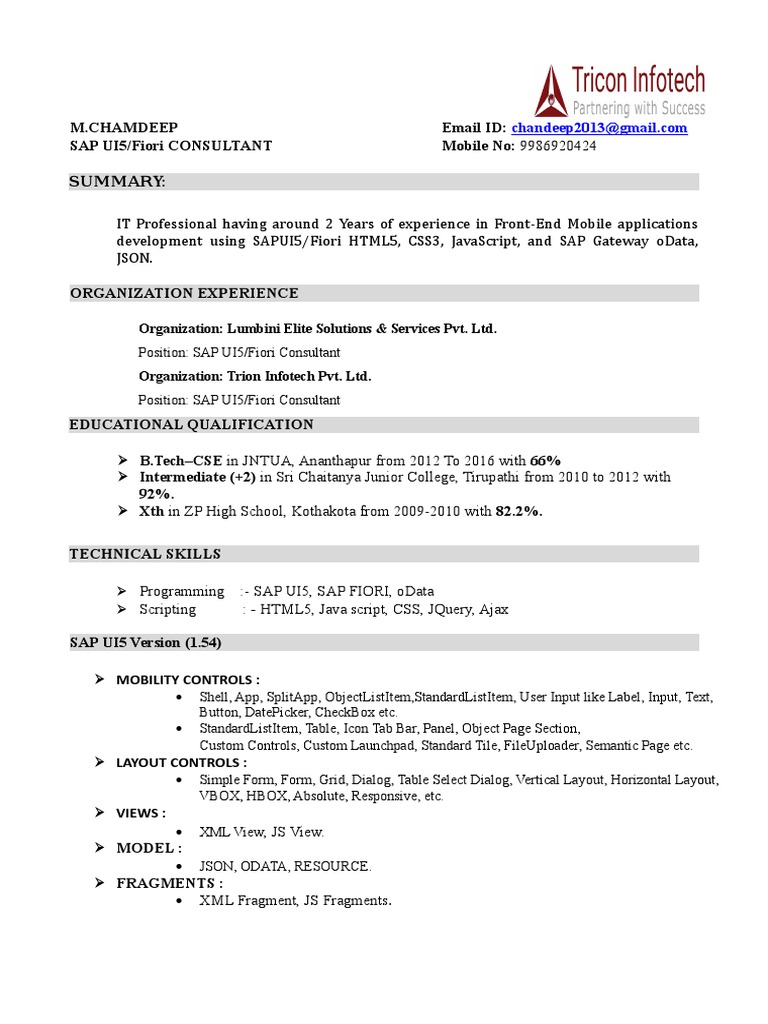 SAP UI5/Fiori Consultant Résumé | PDF | Java Script | Web Application