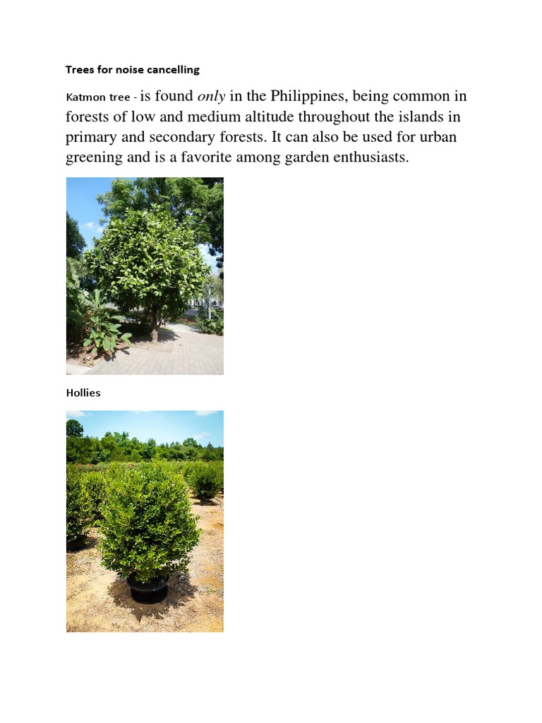 Katmon Tree - : Trees For Noise Cancelling | PDF | Forests | Trees