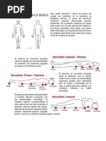 Posiciones de Cadáveres | PDF | Términos anatómicos de ubicación ...