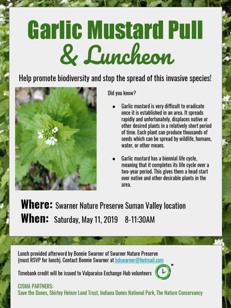 Garlic Mustard Pull | PDF | Environmental Conservation | Conservation