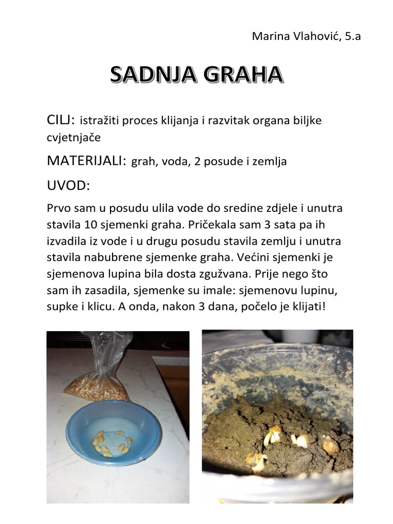 Sadnja Graha | PDF