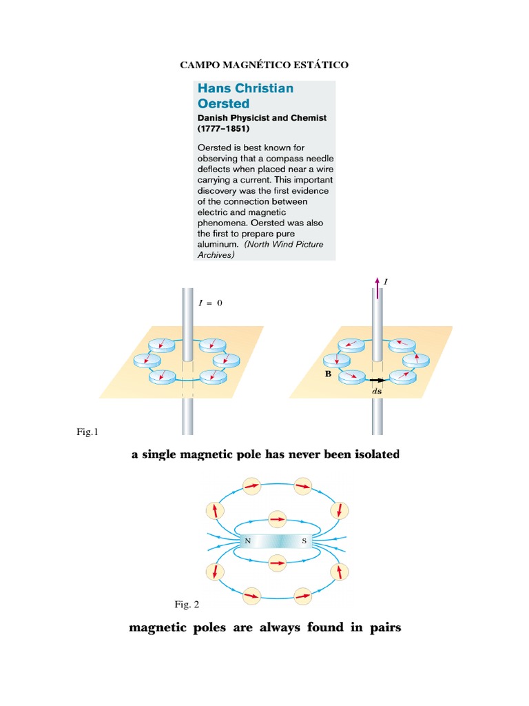 Campo Magneticos | PDF | Campo magnético | Magnetismo
