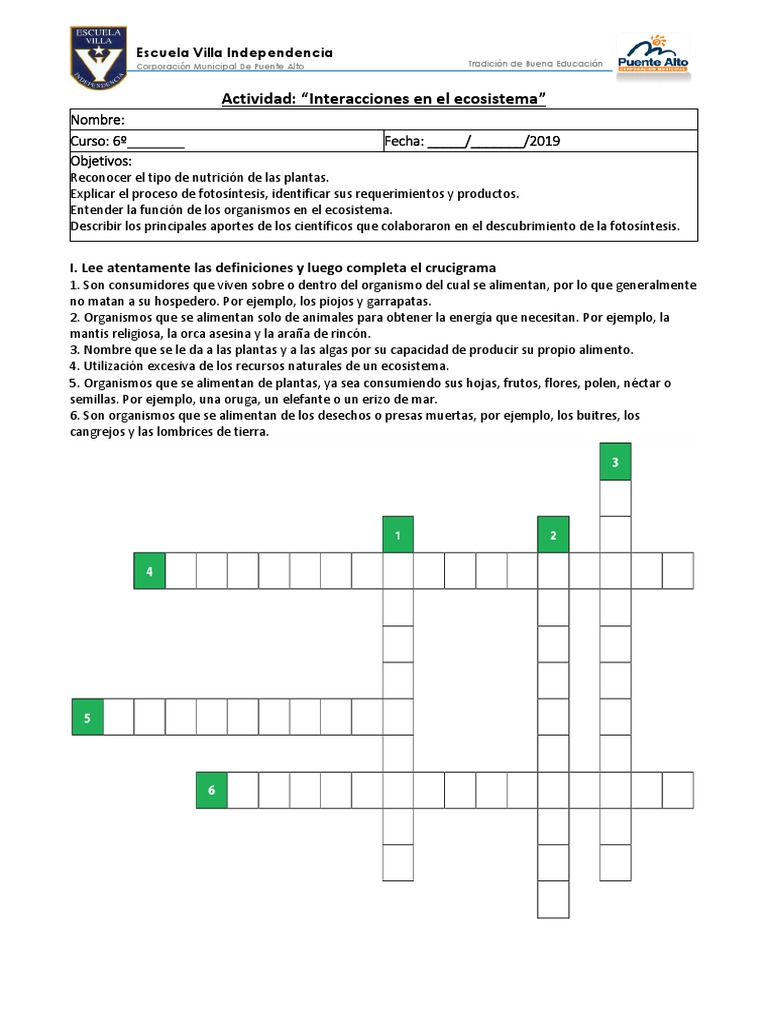 Interacciones en Ecosistemas y Fotosíntesis | PDF | Plantas | Organismos