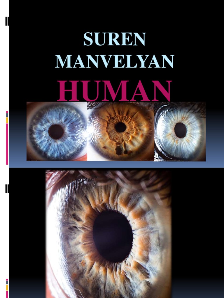 Suren Manvelyan Human Eye | PDF