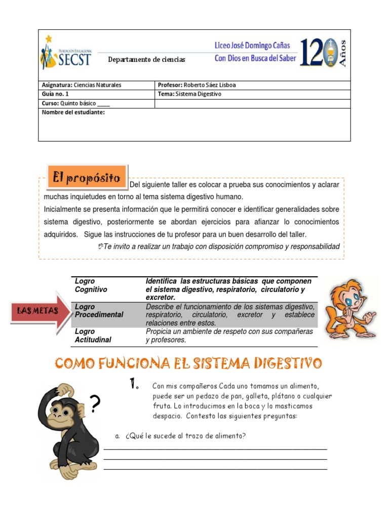 Funcionamiento del Sistema Digestivo | PDF | Sistema digestivo humano ...