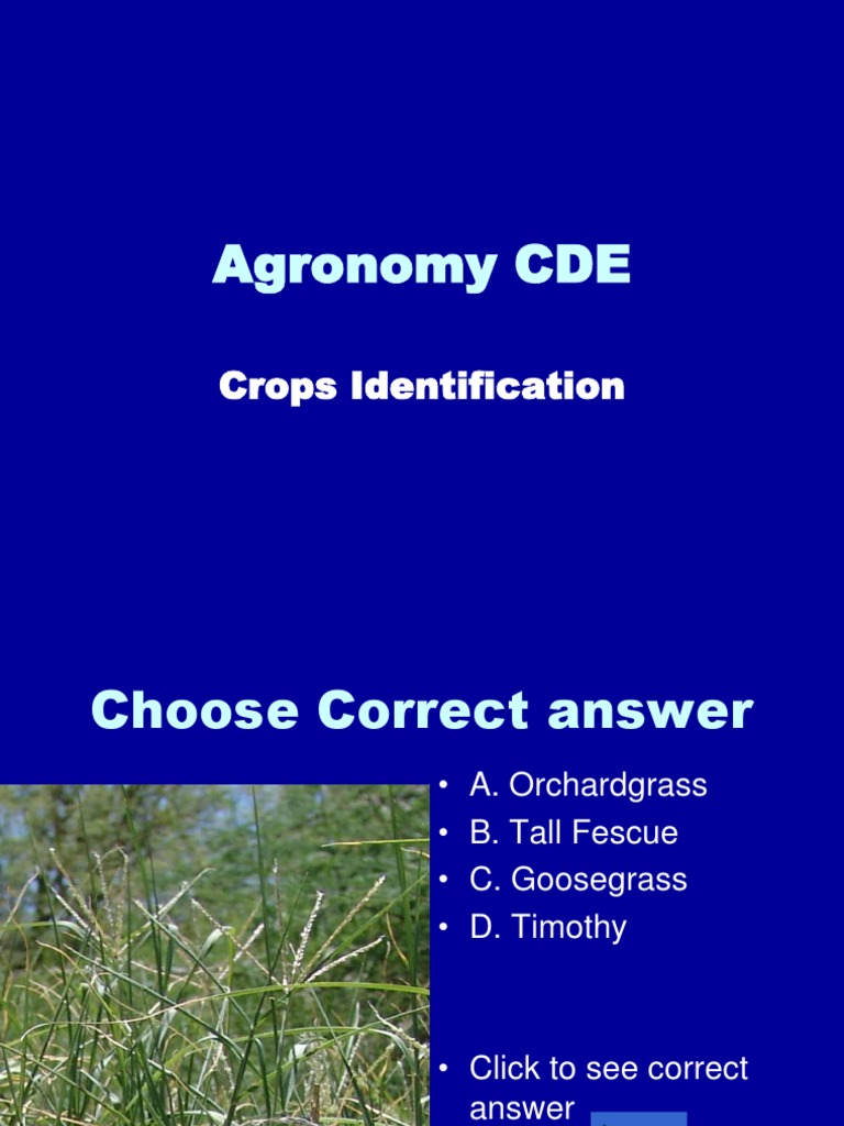 Agronomy CDE: Crops Identification | PDF | Bean | Maize