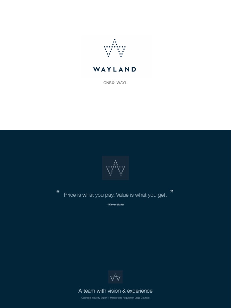 Wayland Group | Download Free PDF | Economies | Business