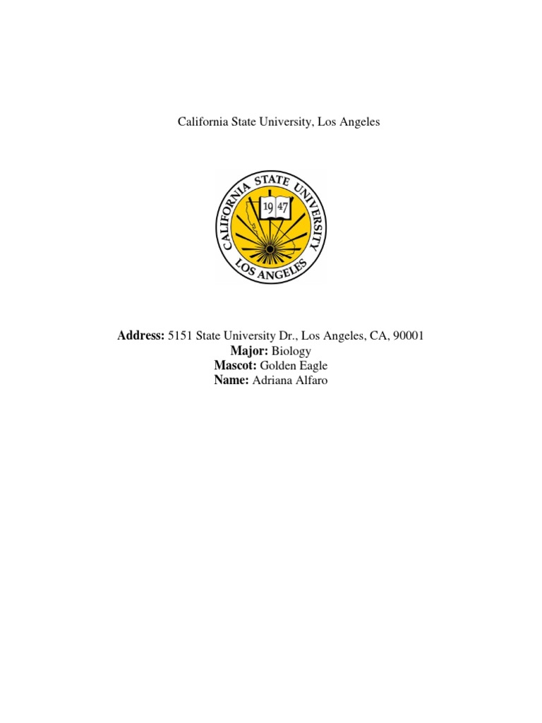 California State University, Los Angeles | PDF | Business