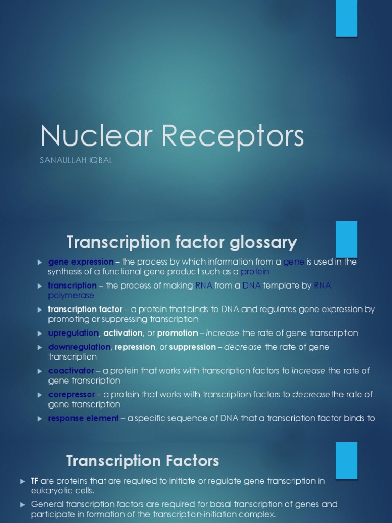 Understanding Nuclear Receptors and Transcription Factors | PDF ...