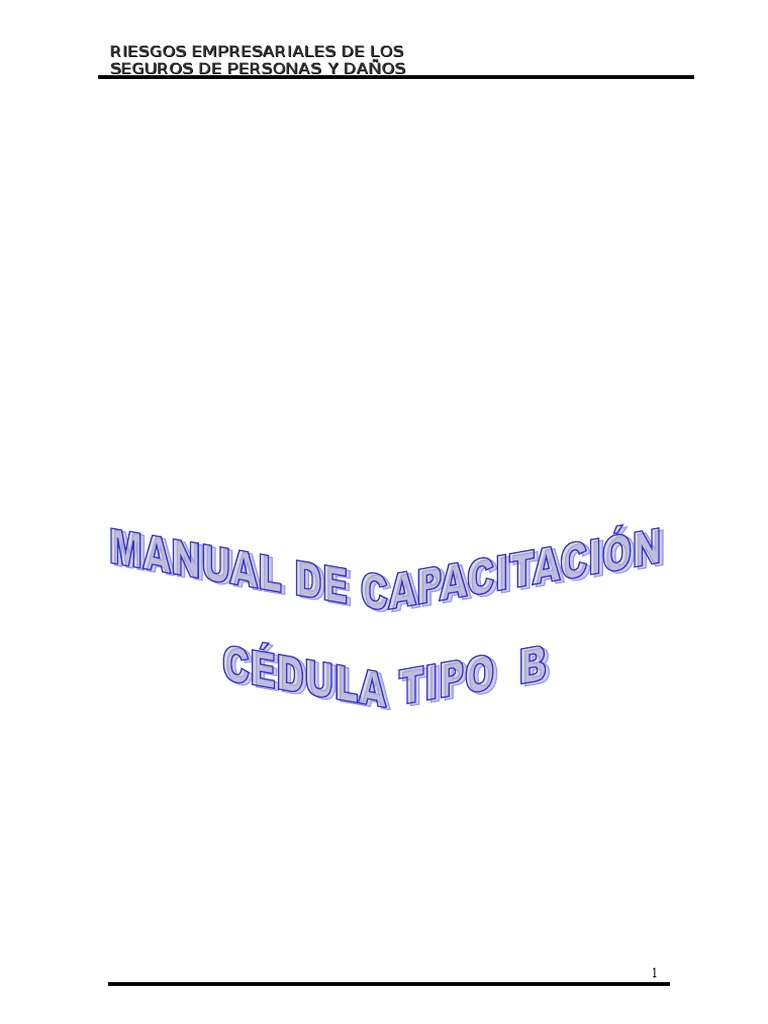 Manual Cedula B | PDF | Póliza de seguros | Seguro