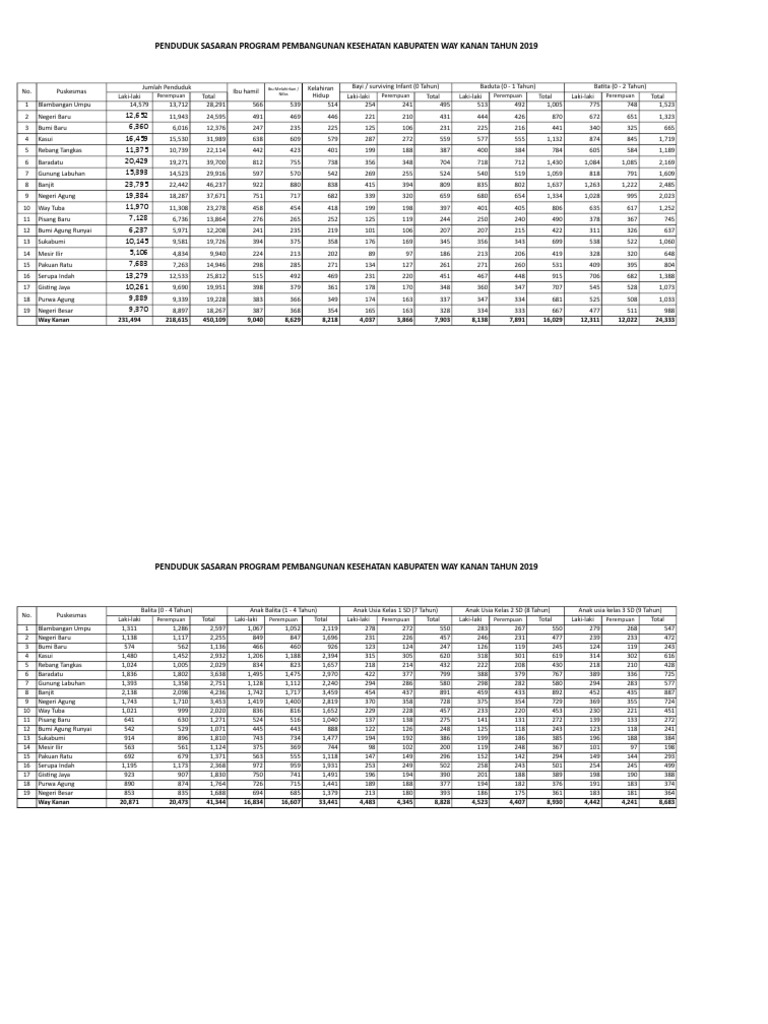 Penduduk Sasaran Program Pembangunan Kesehatan Kabupaten Way Kanan Tahun 2019 | PDF