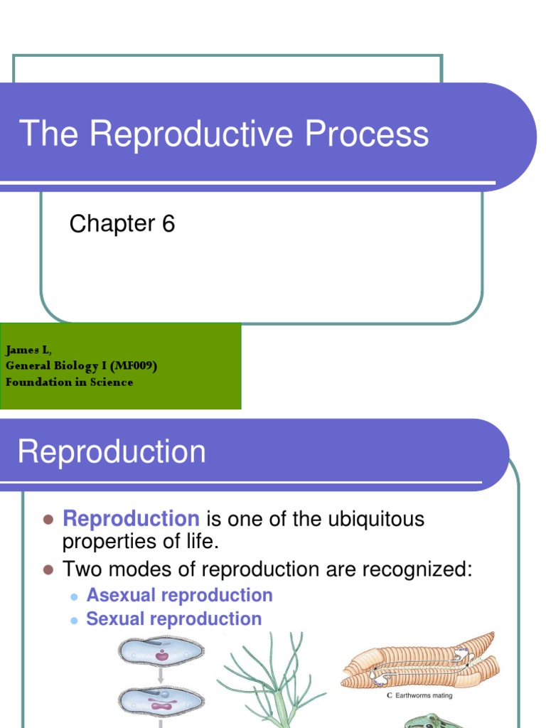 The Reproductive Process: James L, General Biology I (MF009) Foundation ...